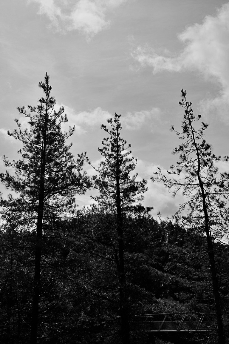 A Guide To Making Mono Photographs – One Camera One Lens Photography