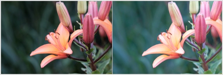 Fuji X-Trans III – One Camera One Lens Photography