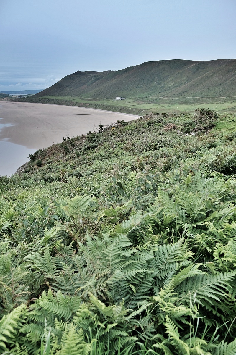 Rhosilli Coastal Photography – One Camera One Lens Photography