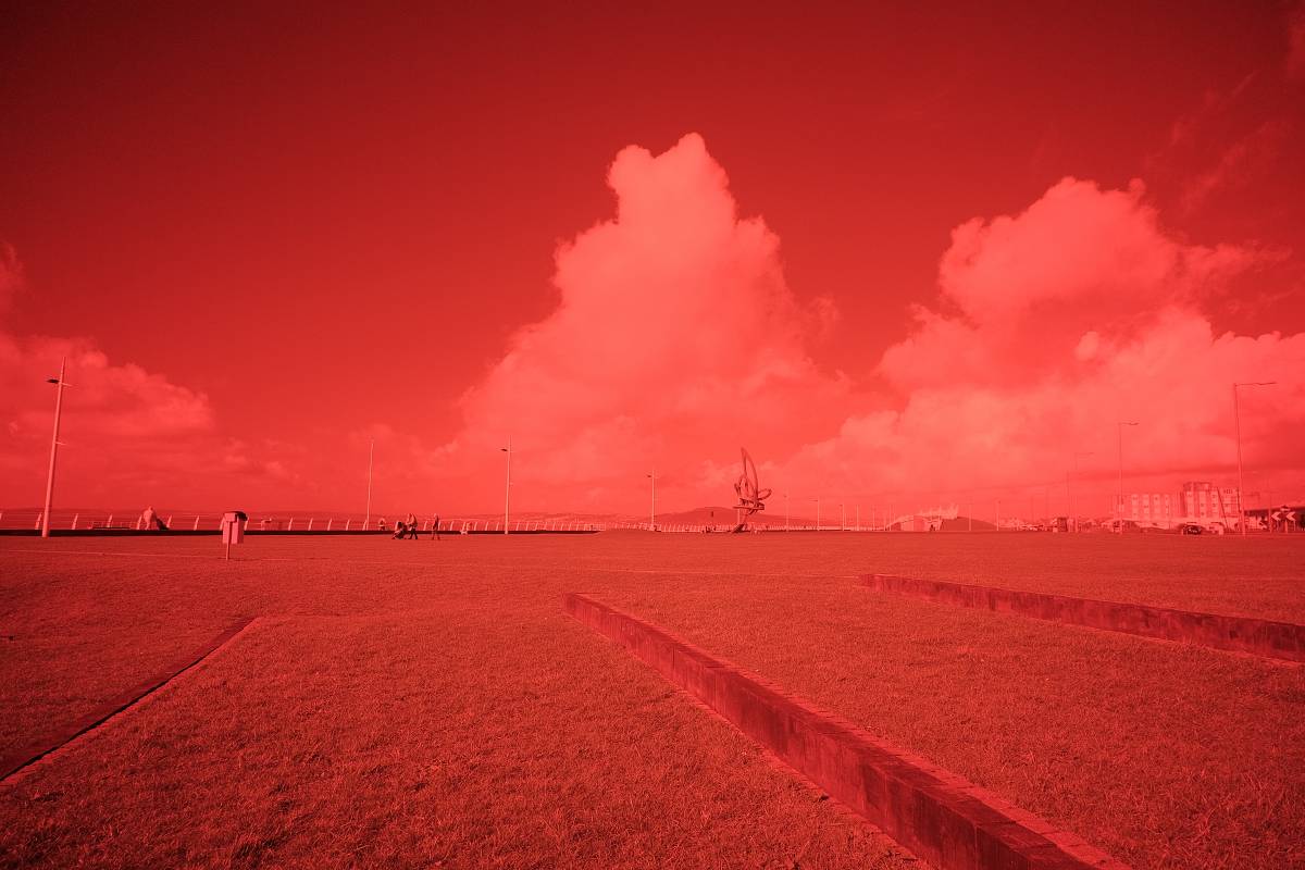 Real Infrared Photography With Neewer Filters – One Camera One Lens ...