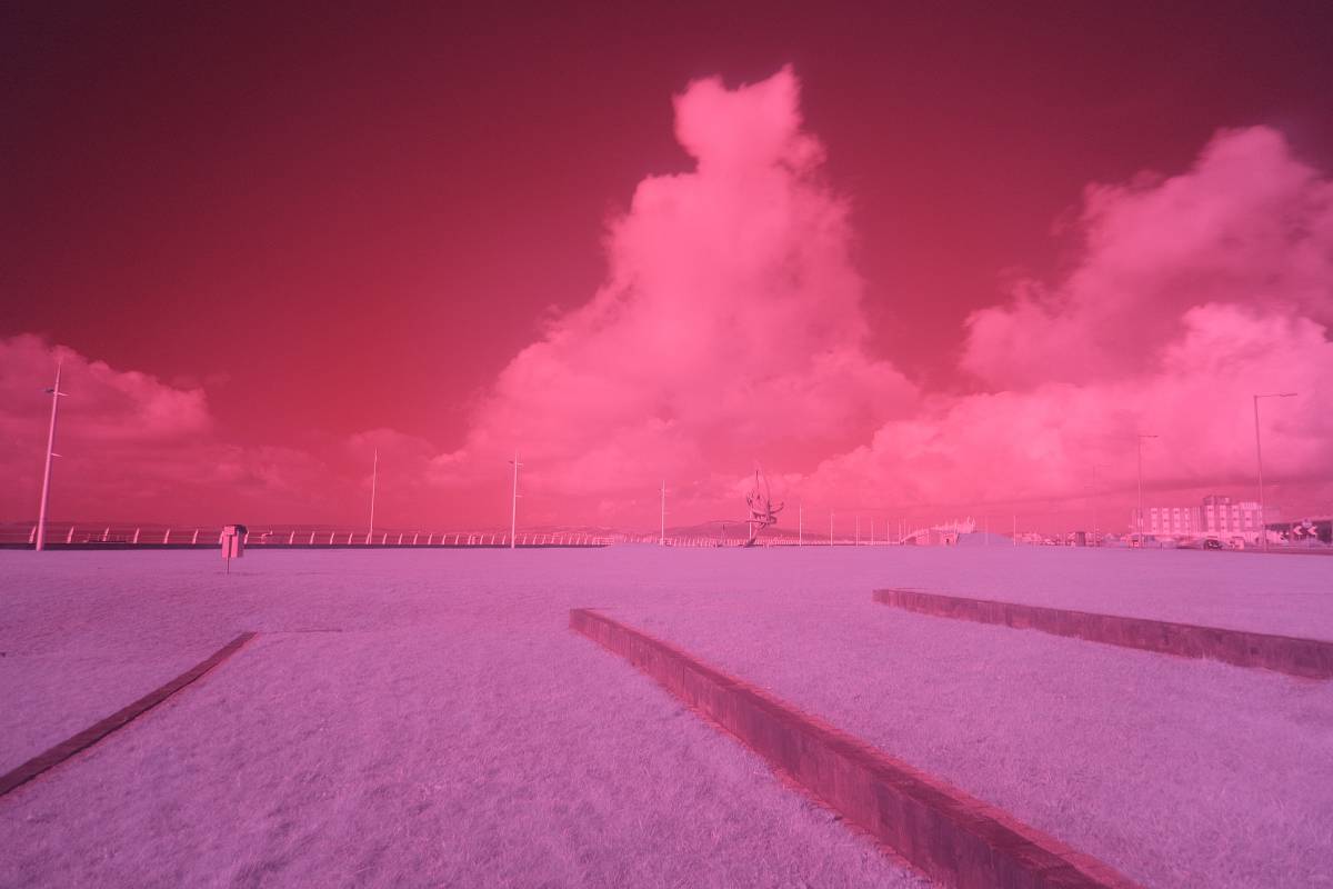 Real Infrared Photography With Neewer Filters – One Camera One Lens ...