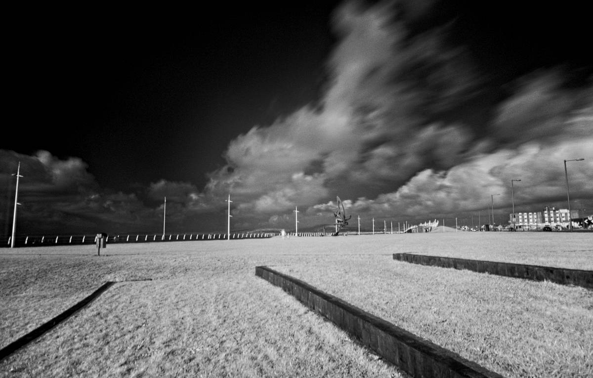 Real Infrared Photography With Neewer Filters – One Camera One Lens ...