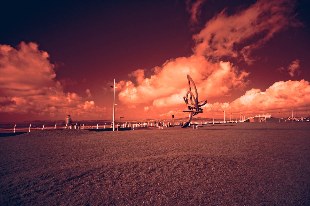 Real Infrared Photography With Neewer Filters – One Camera One Lens ...