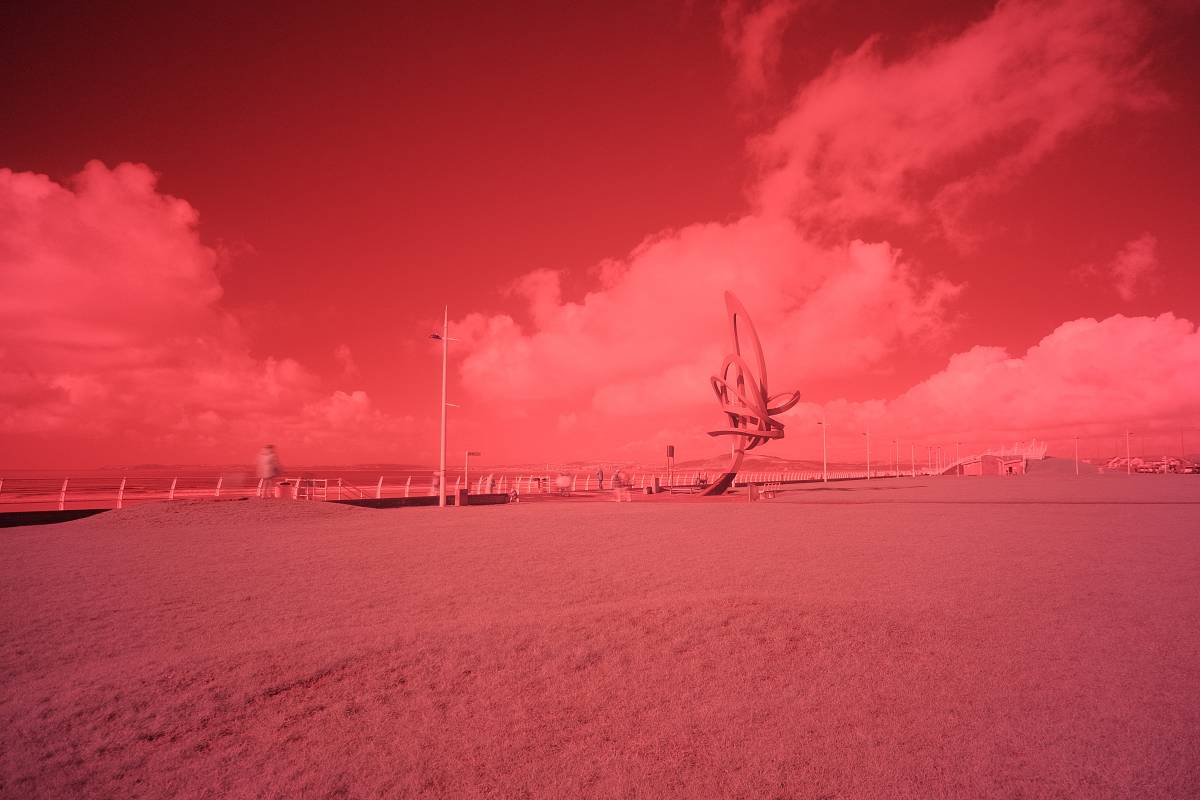 Real Infrared Photography With Neewer Filters – One Camera One Lens ...