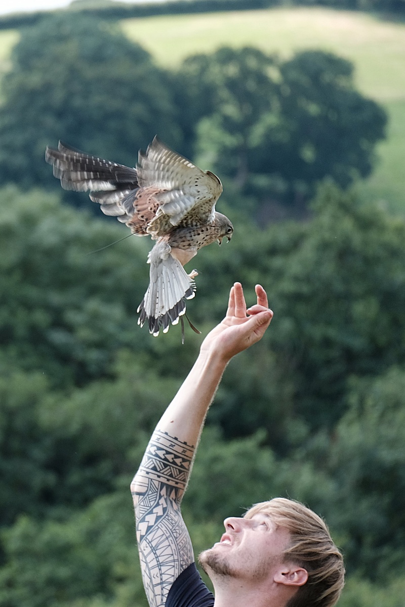 Photographing wildlife (birds) with the XC50-230mm – One Camera One ...