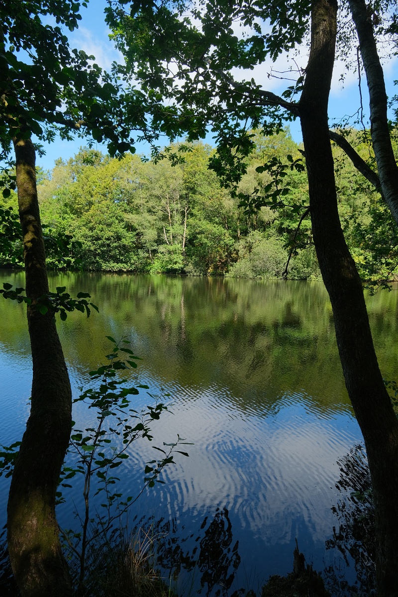 The Gnoll, Neath. A Visit In Tweaked Provia (Straight From Camera ...