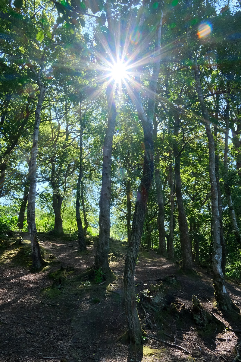 The Gnoll, Neath. A Visit In Tweaked Provia (Straight From Camera ...