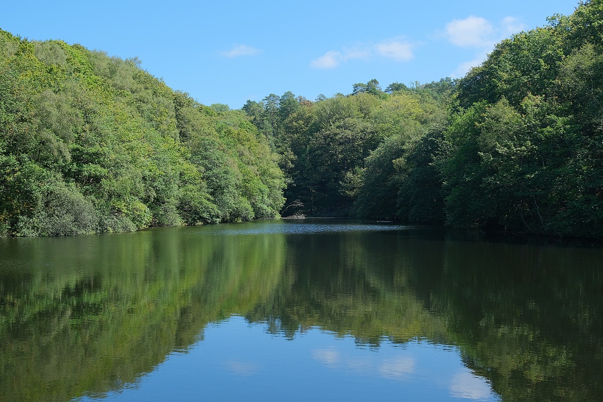 The Gnoll, Neath. A Visit In Tweaked Provia (Straight From Camera ...