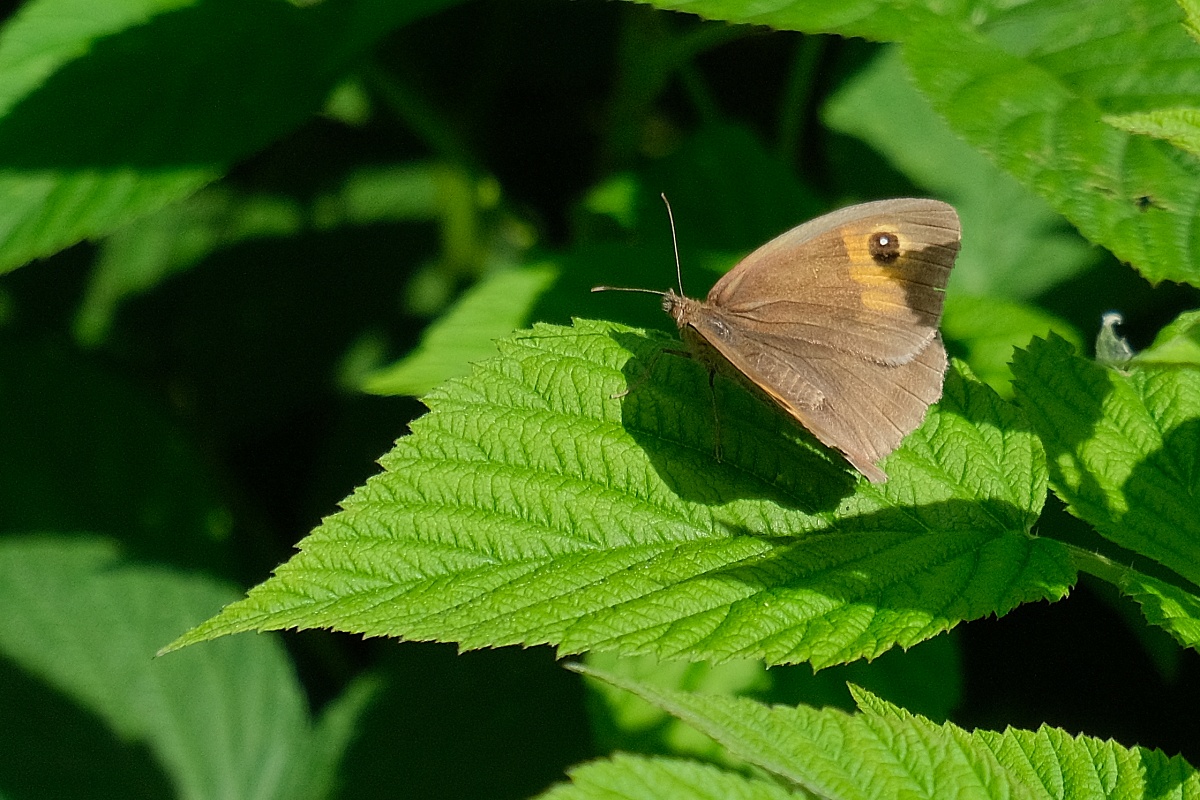 The Gnoll, Neath. A Visit In Tweaked Provia (Straight From Camera ...