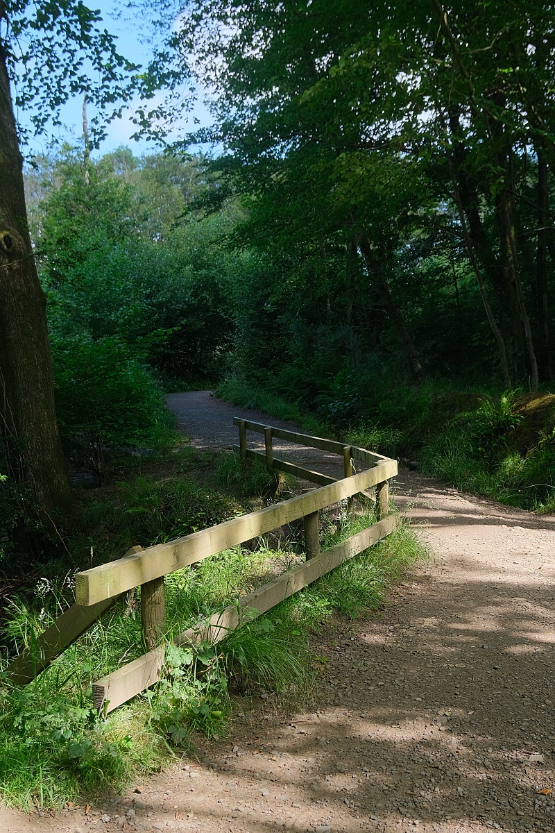 The Gnoll, Neath. A Visit In Tweaked Provia (Straight From Camera ...