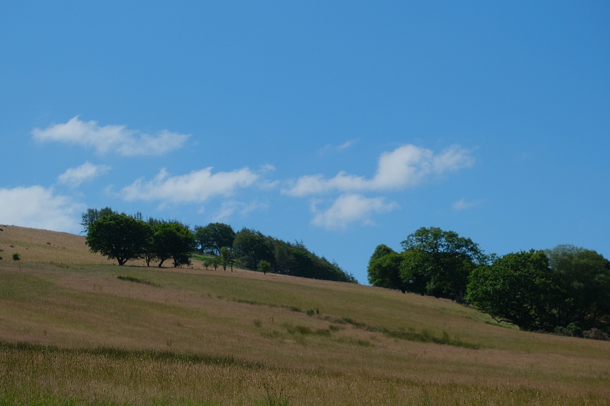 The Gnoll, Neath. A Visit In Tweaked Provia (Straight From Camera ...