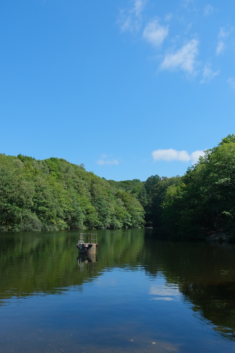 The Gnoll, Neath. A Visit In Tweaked Provia (Straight From Camera ...