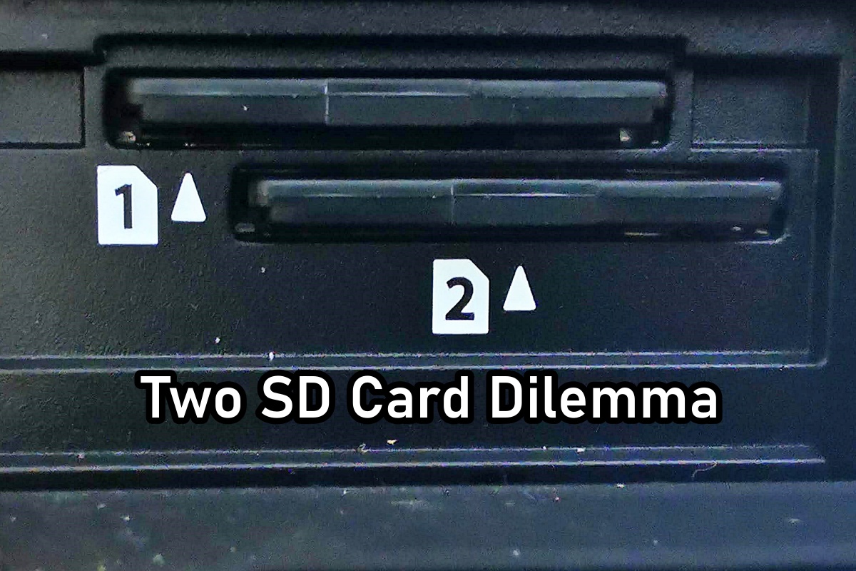 The benefits of writing raw to one card and jpeg to another. – One ...