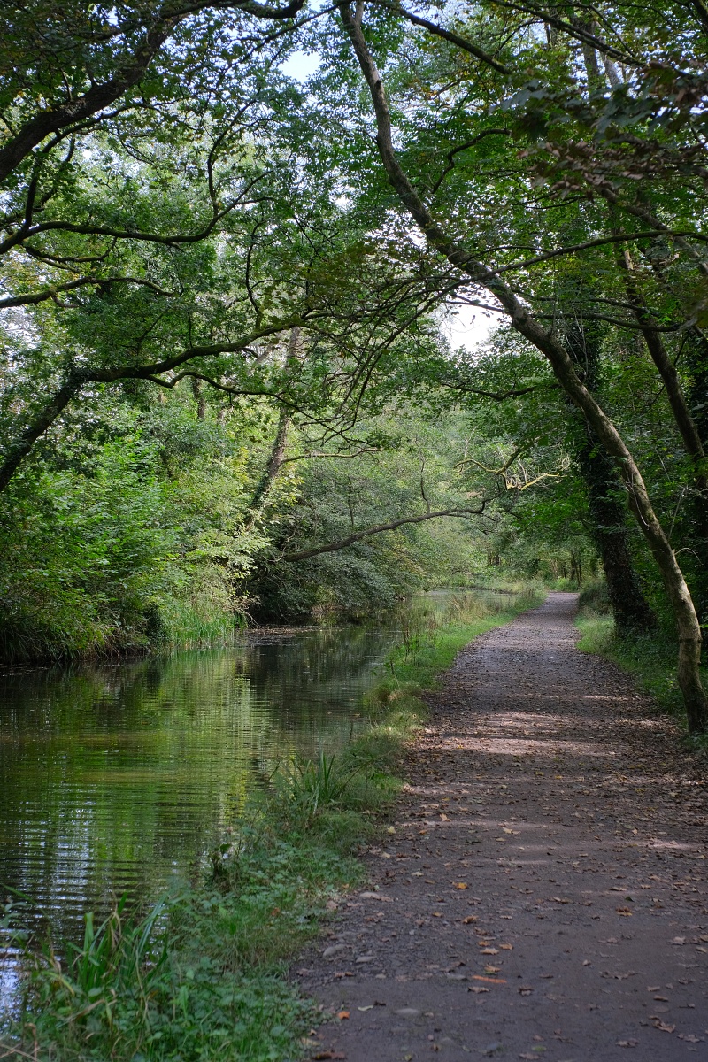 Resolven Canal With A TTArtisan 40mm Macro Lens – One Camera One Lens ...
