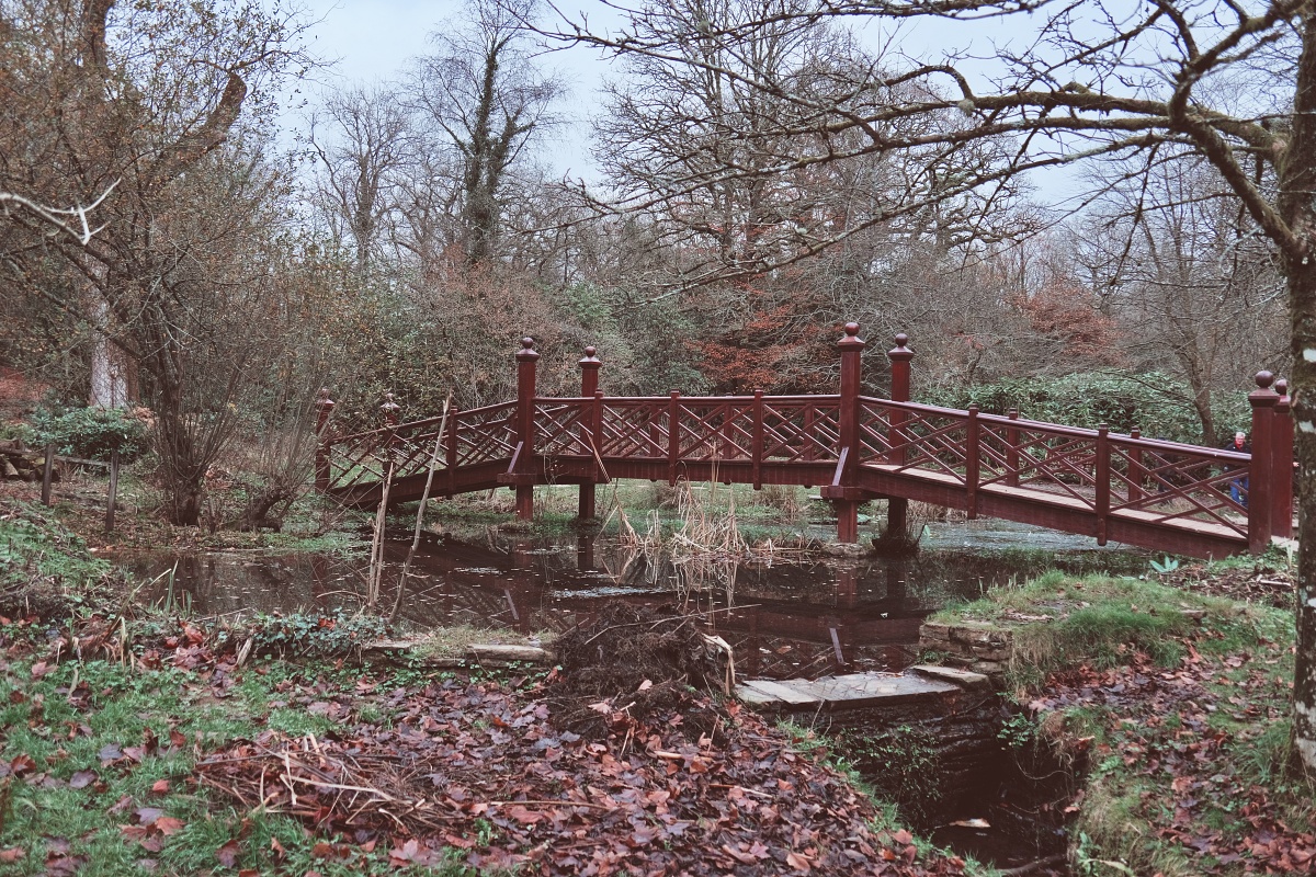 Bryngarw Country Park Visit – One Camera One Lens Photography