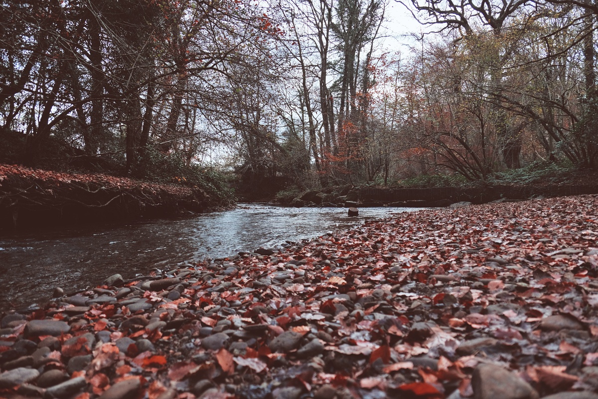 Bryngarw Country Park Visit