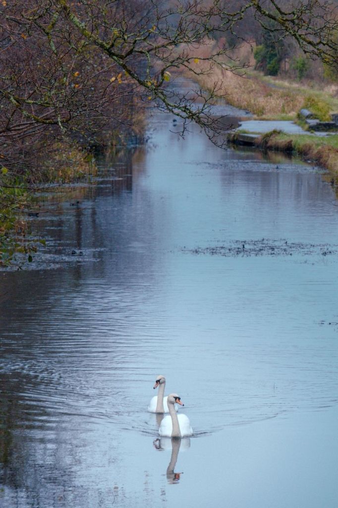 Neath Abbey Monastery, Canal, Iron Works And Urban Exploration – One ...