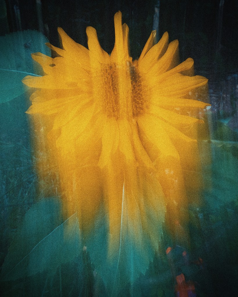 An Experiment In ICM (Intentional Camera Movement) – One Camera One ...