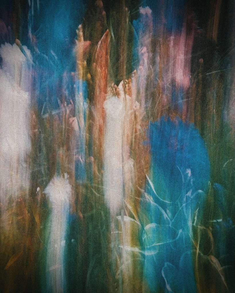 An Experiment In ICM (Intentional Camera Movement) – One Camera One ...