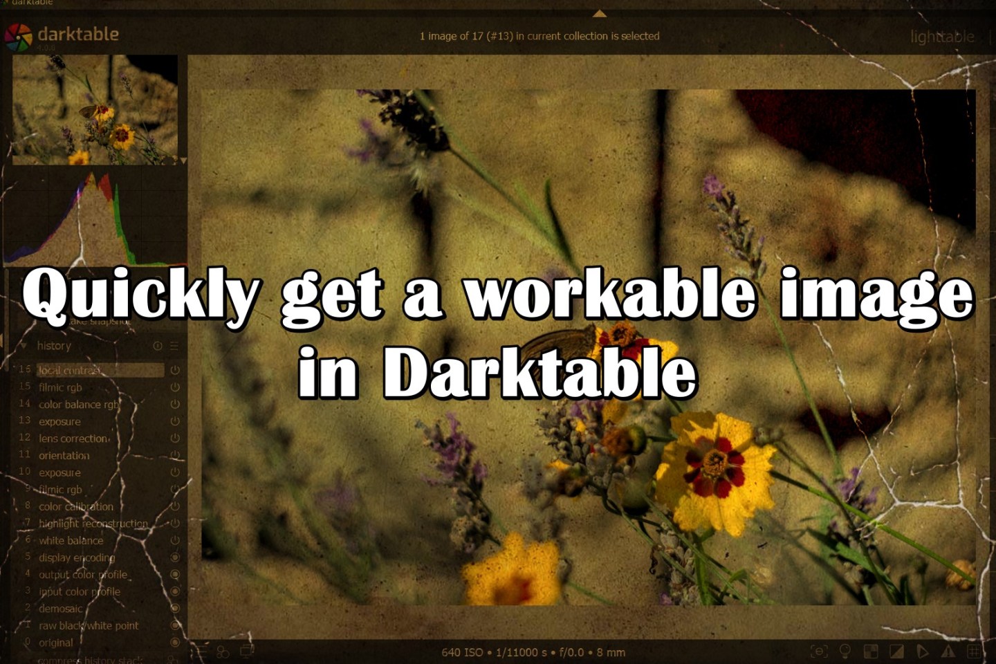 Quickly get a workable image in Darktable – One Camera One Lens Photography