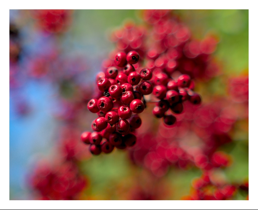 A Walk Along Neath Canal – One Camera One Lens Photography