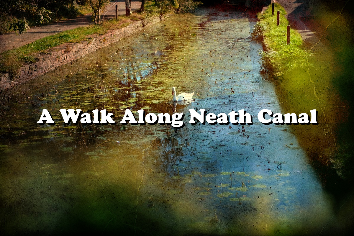 A Walk Along Neath Canal – One Camera One Lens Photography