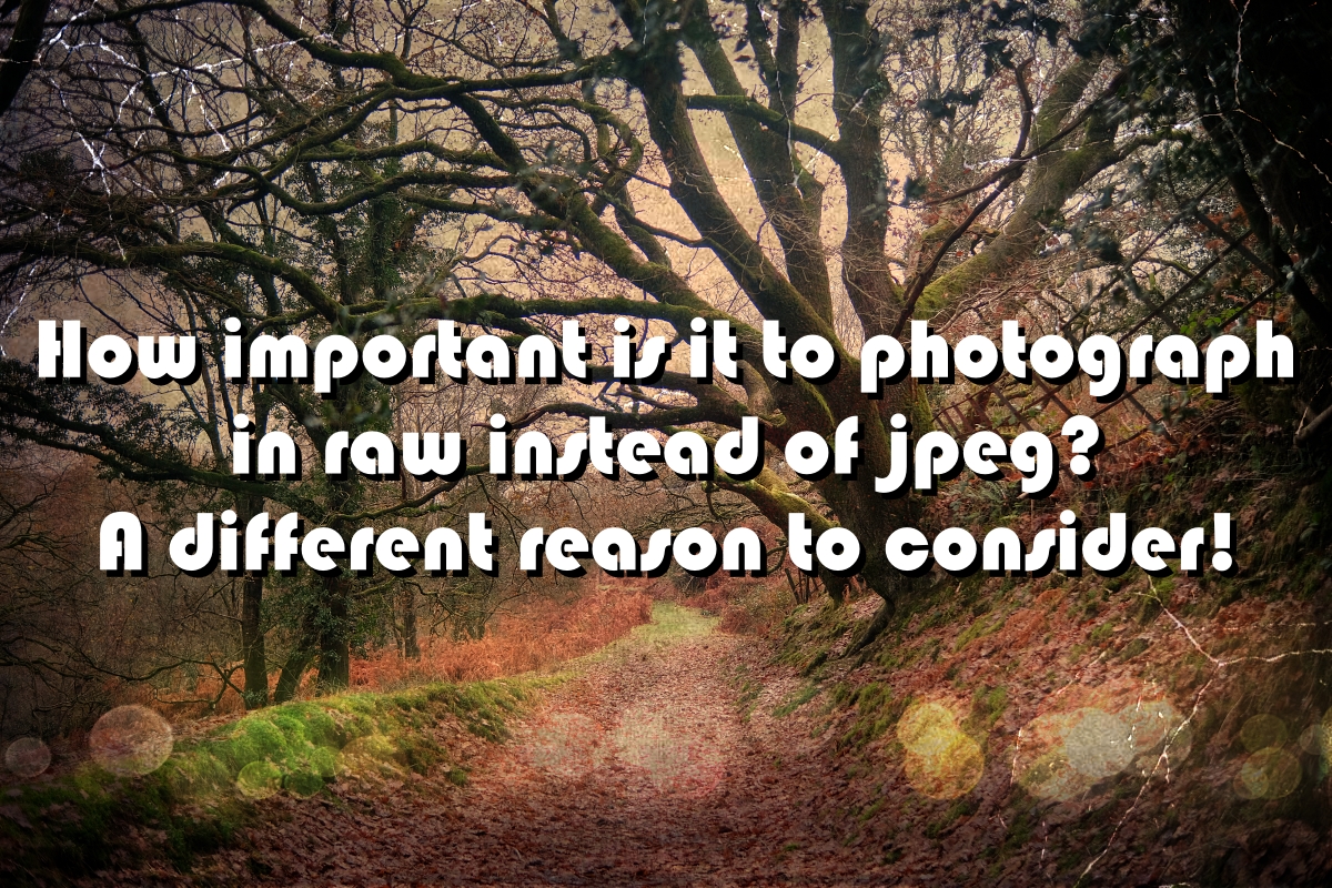 How important is it to photograph in raw instead of jpeg? A different ...
