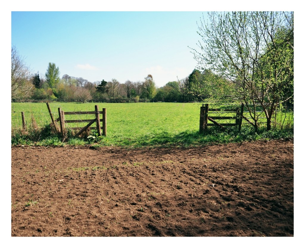 Fforest Farm. Birds, Water & Wildlife. – One Camera One Lens Photography