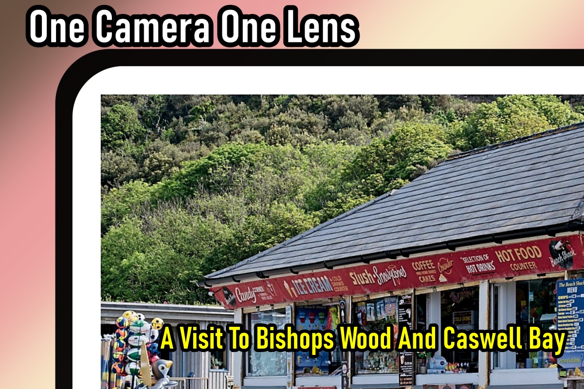 A Visit To Bishops Wood And Caswell Bay