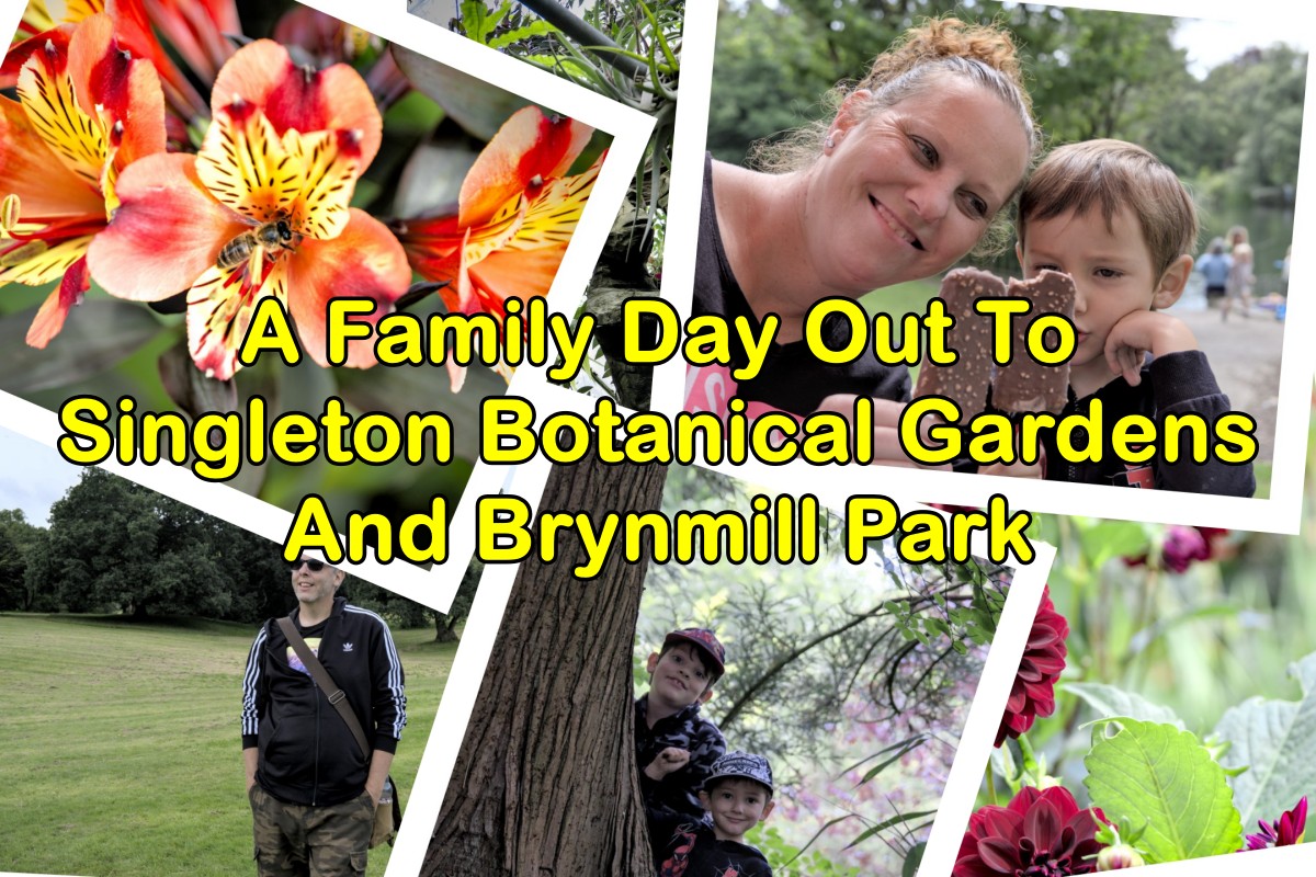 A Family Day Out To Singleton Botanical Gardens And Brynmill Park ...