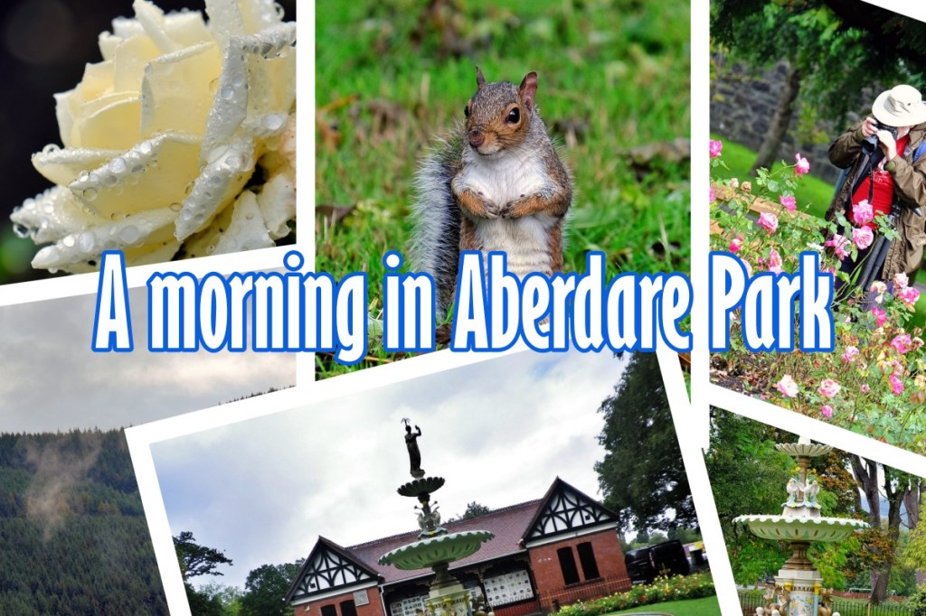 A morning in Aberdare Park – One Camera One Lens Photography