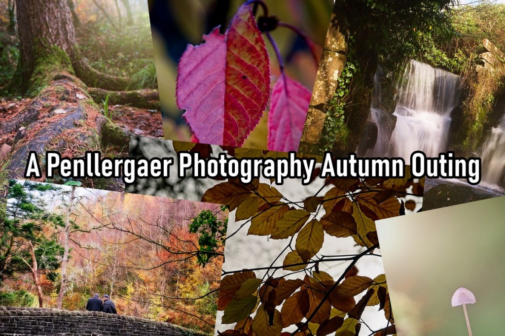 A Penllergaer Photography Autumn Outing – One Camera One Lens Photography