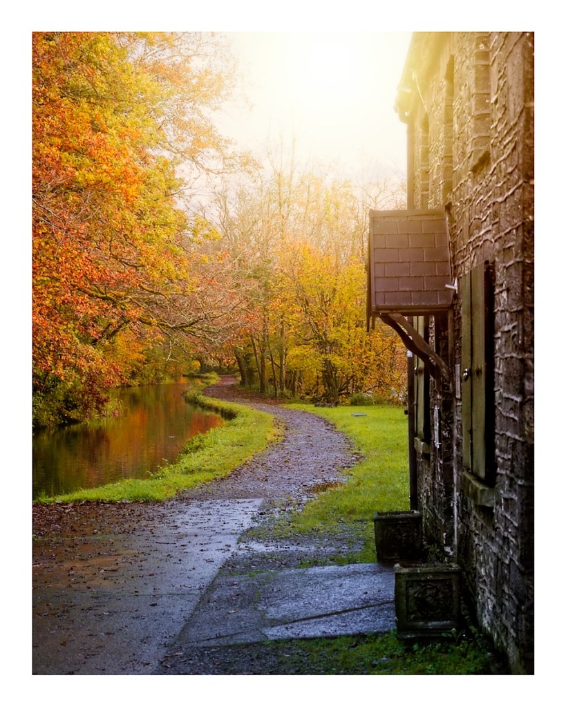 Autumn At Resolven Canal – One Camera One Lens Photography