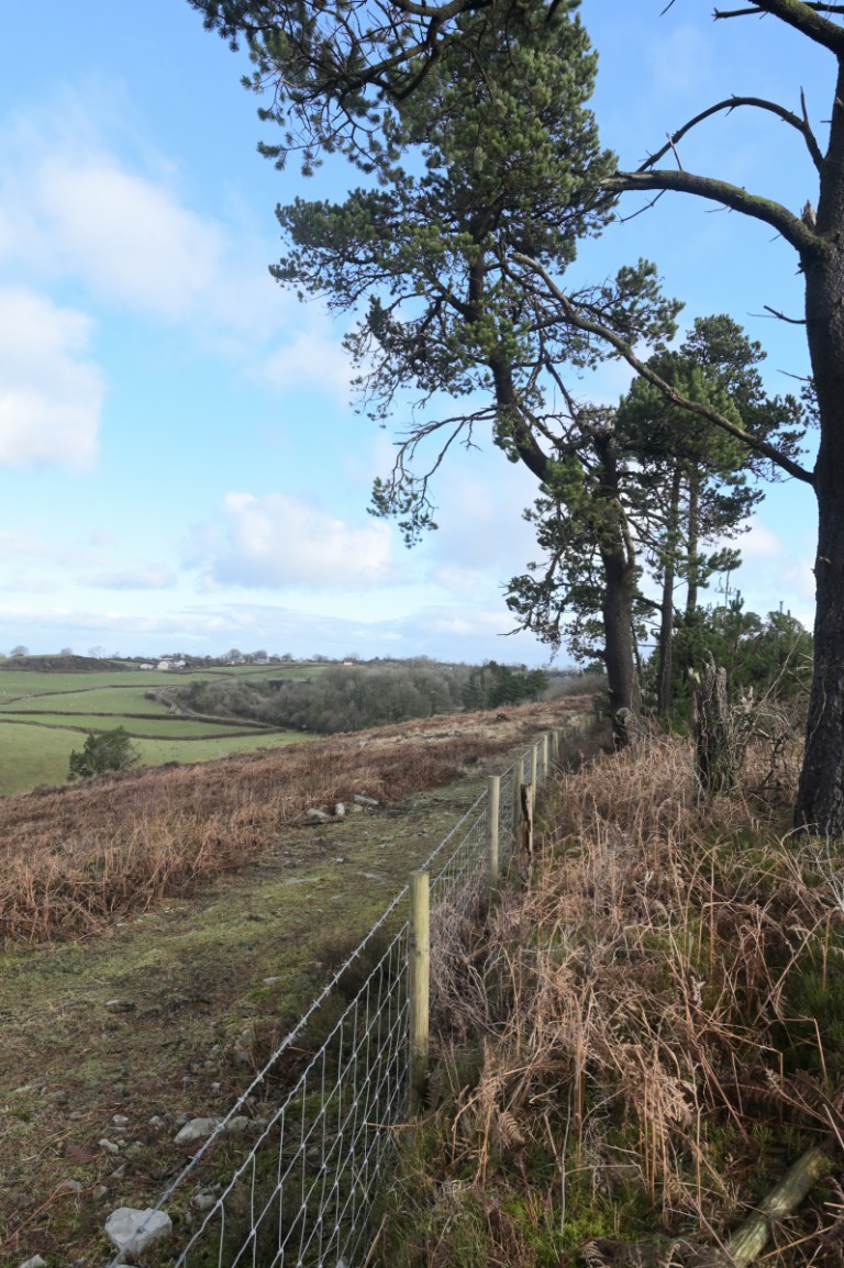 Nikon Fujifilm Film-Like Films Simulations – One Camera One Lens ...