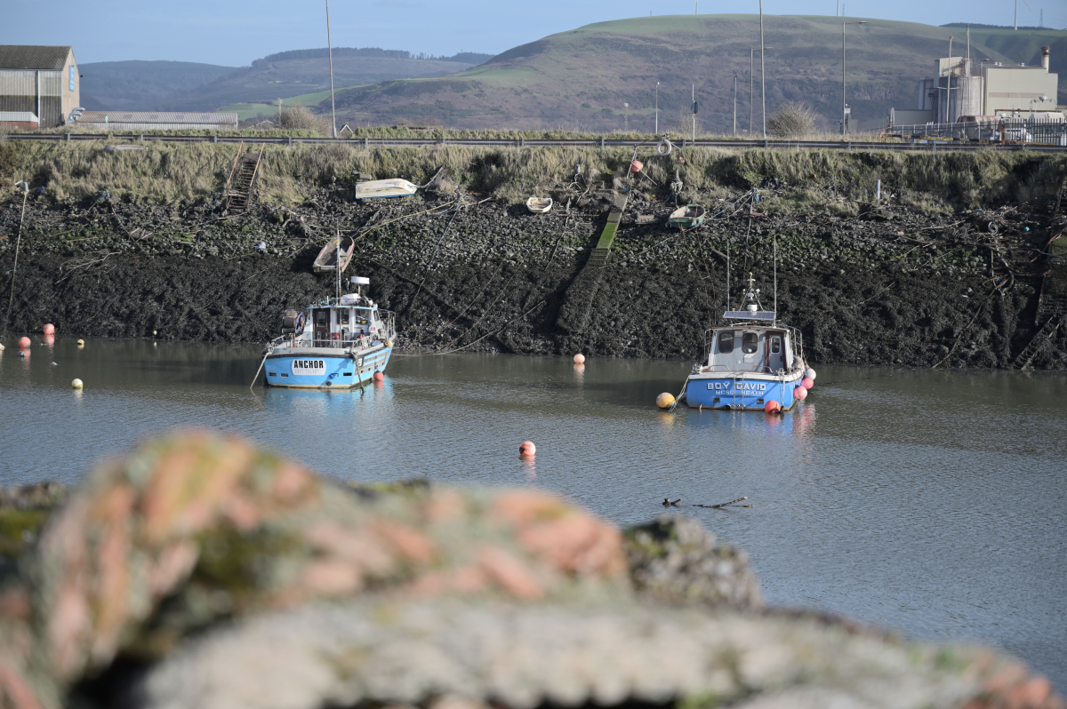 Nikon Fujifilm Film-Like Films Simulations – One Camera One Lens ...