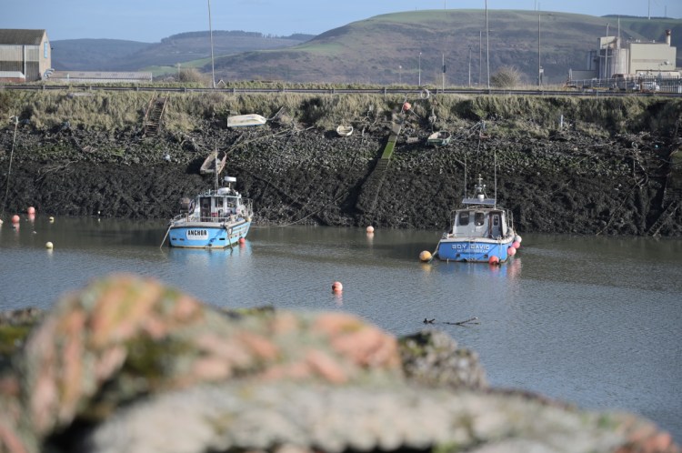 Nikon Fujifilm Film-Like Films Simulations – One Camera One Lens ...