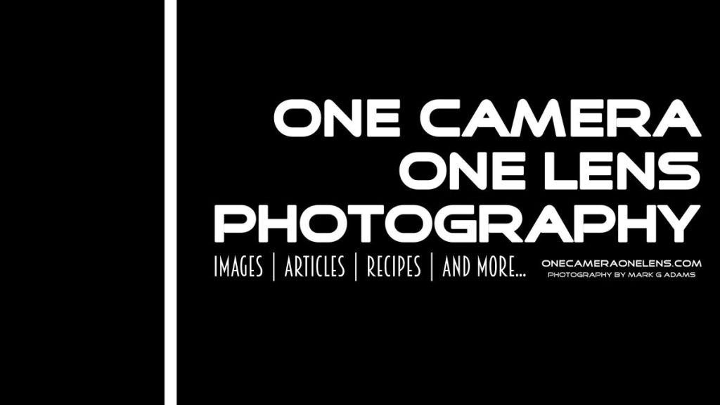 Retropia Oreo Disposable Camera Lens Review – One Camera One Lens ...