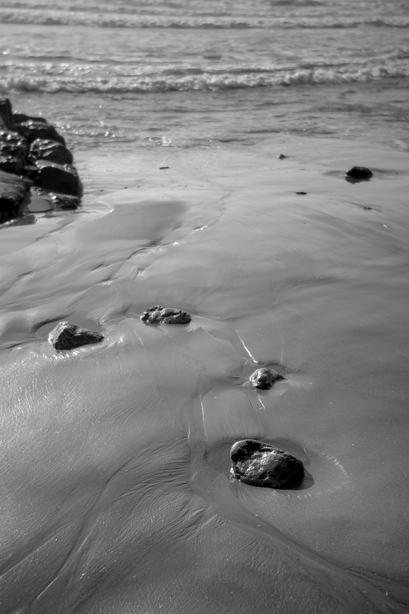 Retropia Oreo Disposable Camera Lens Review – One Camera One Lens ...