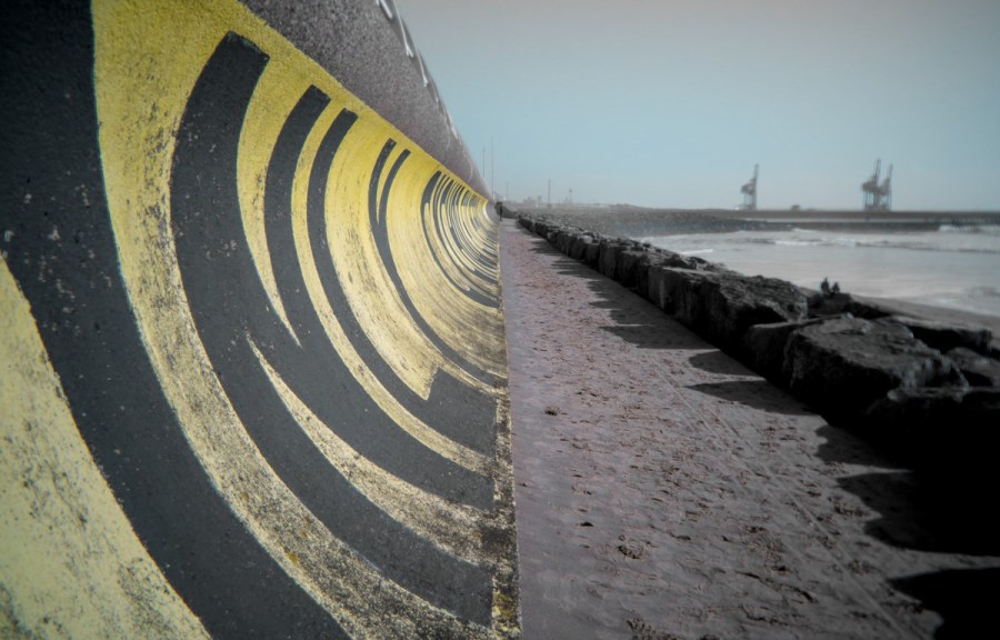 Retropia Oreo Disposable Camera Lens Review – One Camera One Lens ...