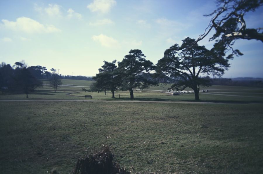 Retropia Oreo Lens For Video (And Vintage Looking Images) – One Camera ...