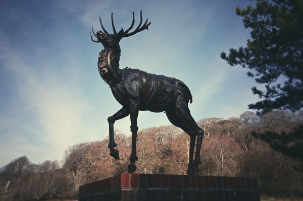 Retropia Oreo Lens For Video (And Vintage Looking Images) – One Camera ...