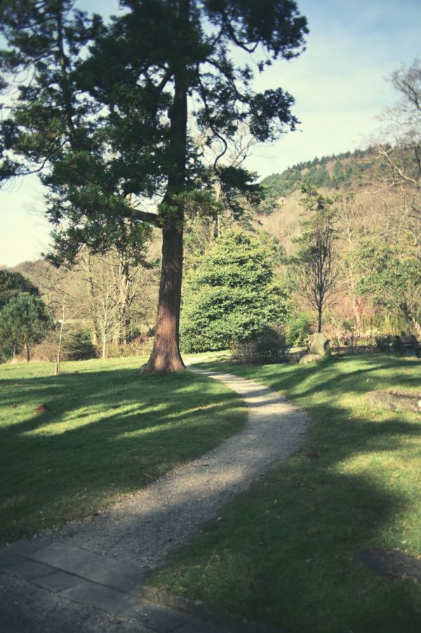 Retropia Oreo Lens For Video (And Vintage Looking Images) – One Camera ...