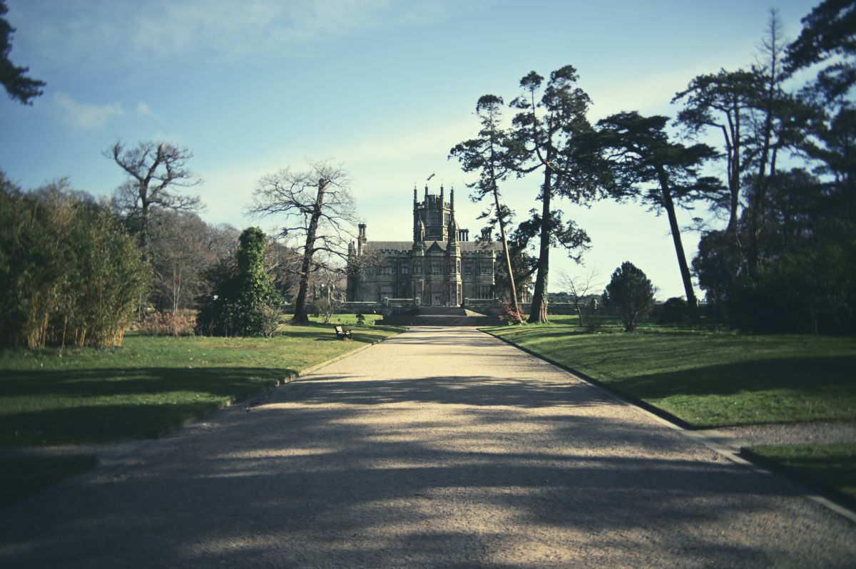 Retropia Oreo Lens For Video (And Vintage Looking Images) – One Camera ...