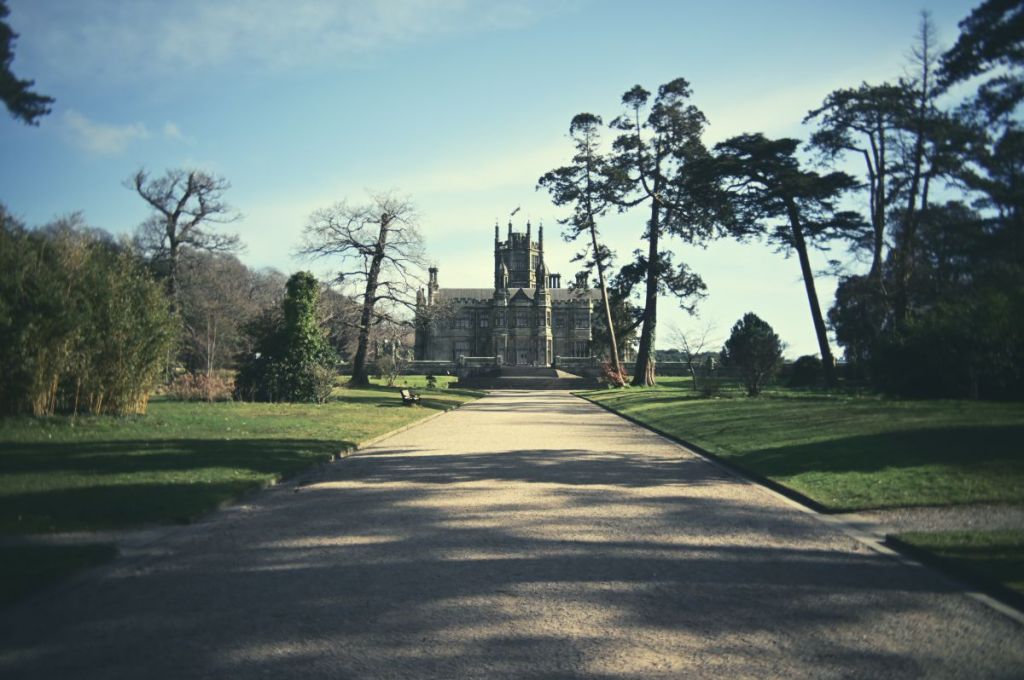 Retropia Oreo Lens For Video (And Vintage Looking Images) – One Camera ...