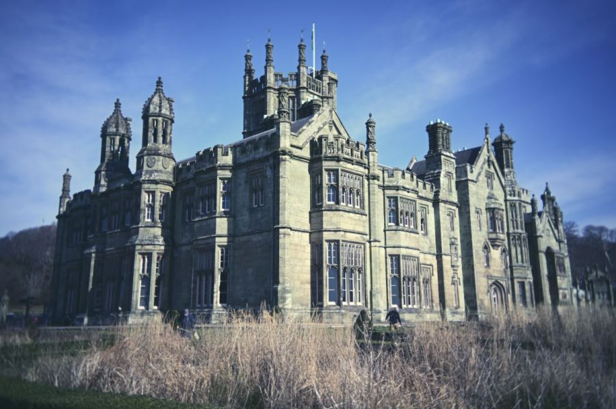 Retropia Oreo Lens For Video (And Vintage Looking Images) – One Camera ...