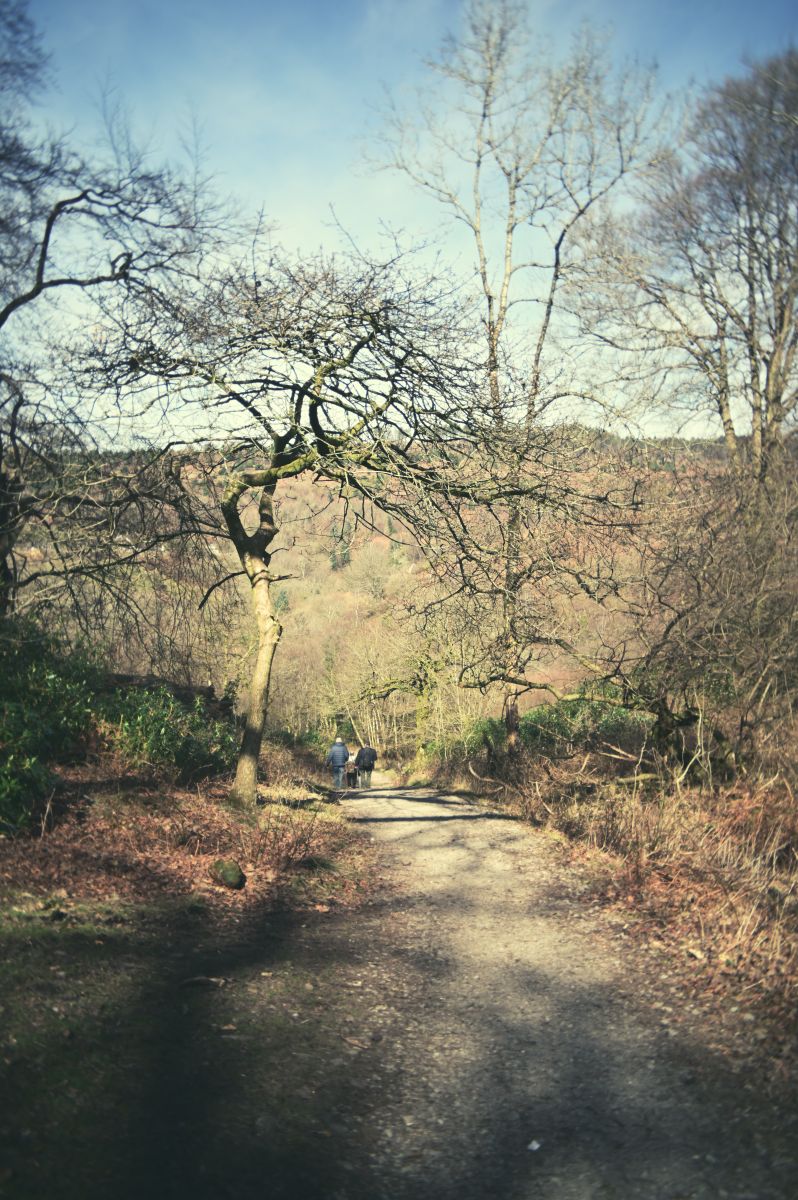 Retropia Oreo Lens For Video (And Vintage Looking Images) – One Camera ...