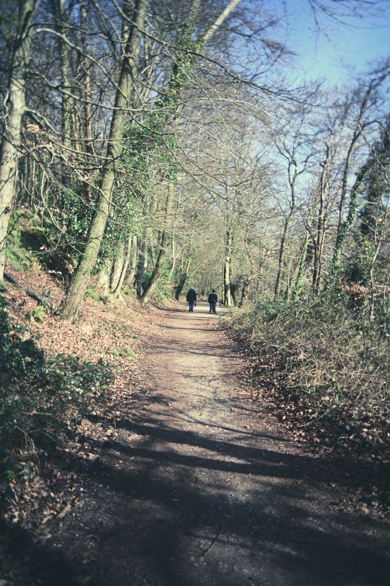 Retropia Oreo Lens For Video (And Vintage Looking Images) – One Camera ...