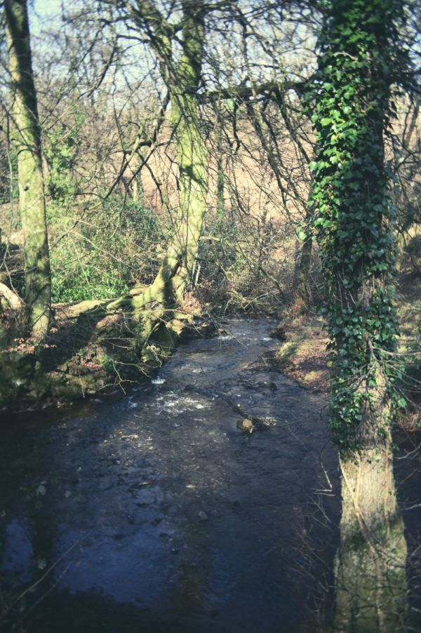 Retropia Oreo Lens For Video (And Vintage Looking Images) – One Camera ...