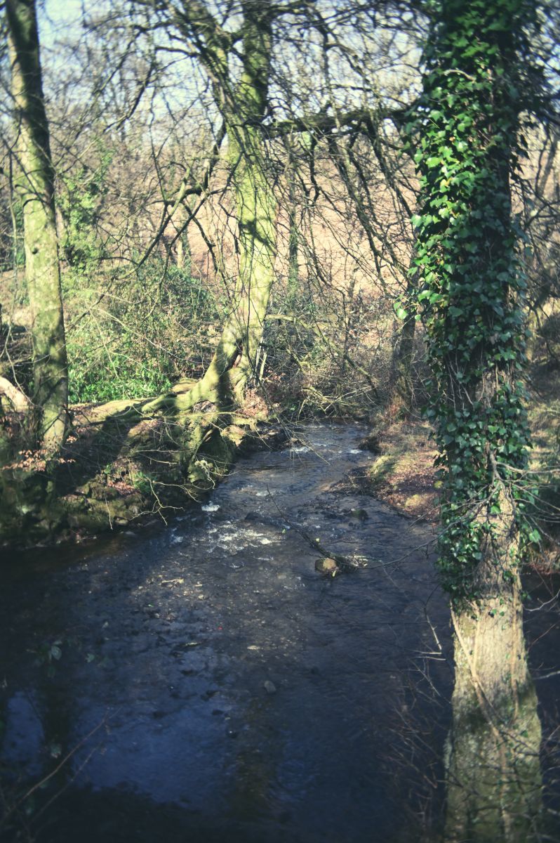 Retropia Oreo Lens For Video (And Vintage Looking Images) – One Camera ...