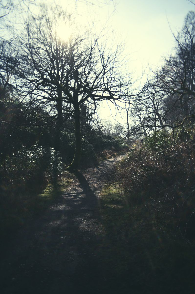 Retropia Oreo Lens For Video (And Vintage Looking Images) – One Camera ...